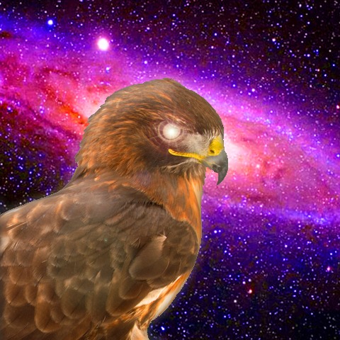 Silas Miller, Author at AMERICAN VULGARIA